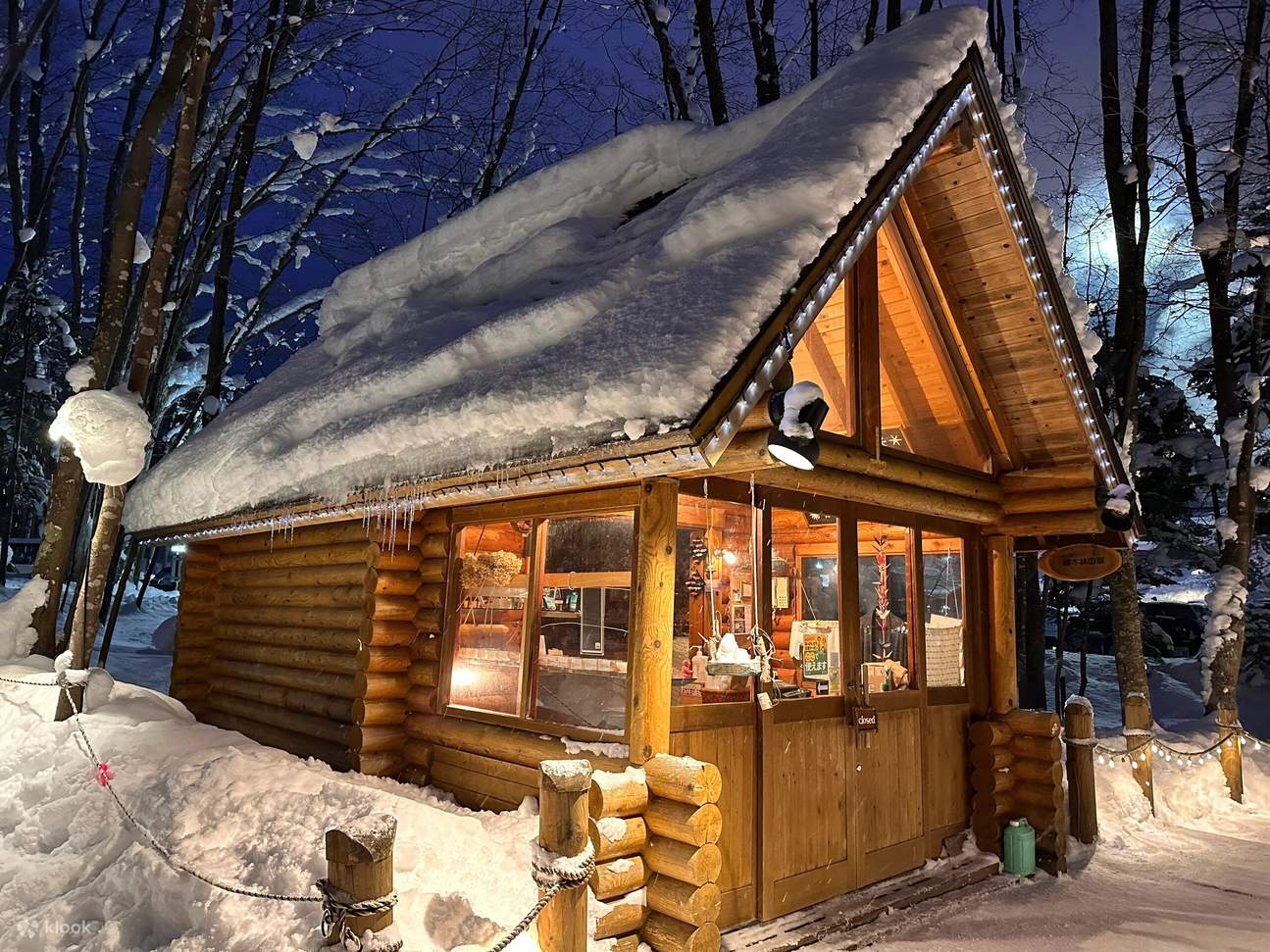 One-day tour of Hokkaido's popular attractions (Asahikawa Zoo ...