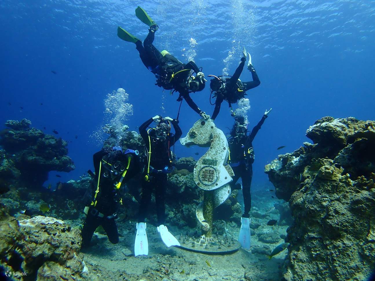 绿岛｜火烧岛潜水｜padi Ow・aow・自由潜水考照・体验潜水・旅游潜水 Klook客路