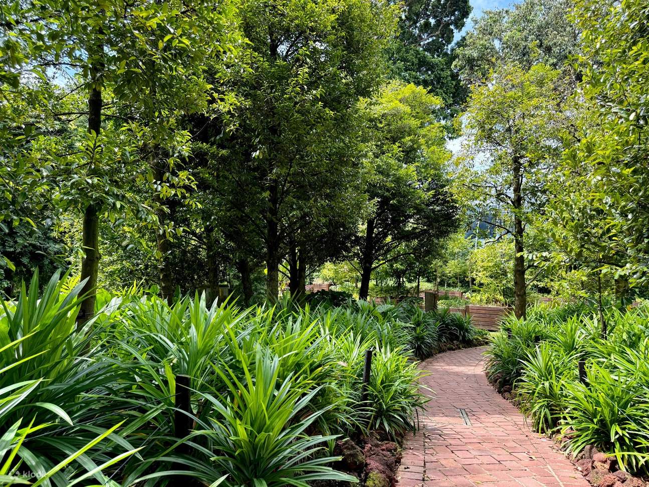 Nature Walking Tour Inspired by William Farquhar Collection - Klook ...