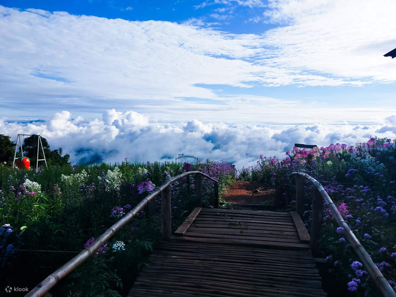 Chiang Mai: Private Tagestour nach Mon Jam und Pongyang Jungle - Klook ...