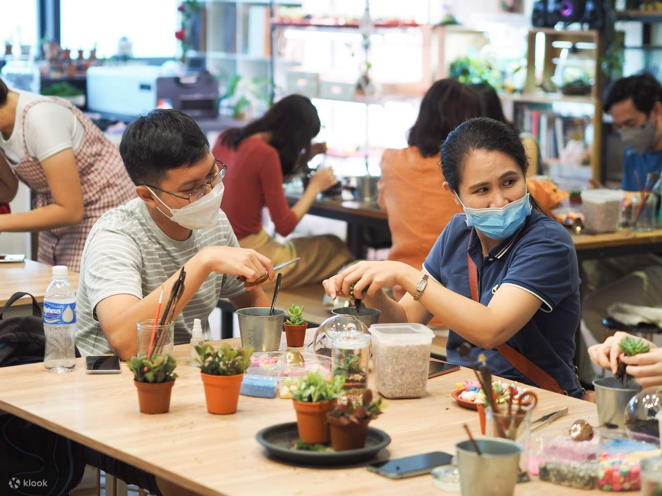 Rainforest Terrarium Workshop In Yishun And Diy Home Kits in singapore ...