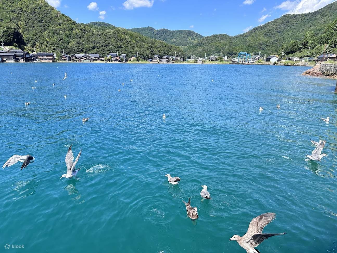 Japan's Three Most Scenic Spots: Amanohashidate, Ine Funaya, and Ine ...