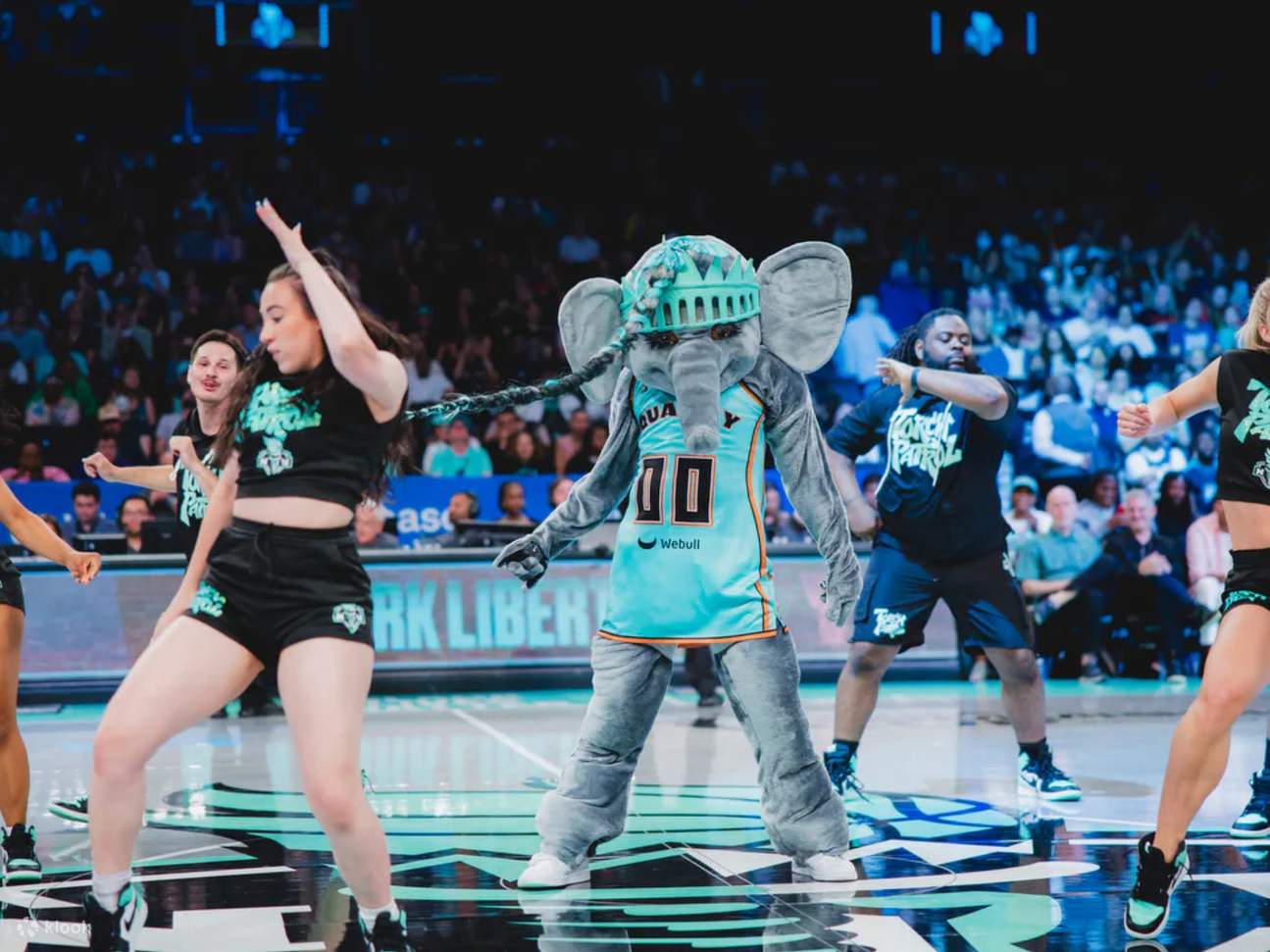 New York Liberty Basketball Game at Barclays Center - Klook United States