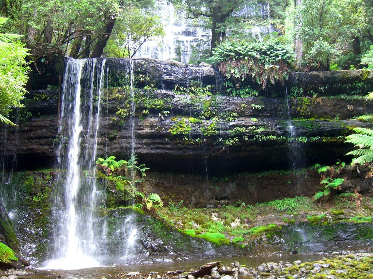 Russell Falls with Bonorong Wildlife Sanctuary Day Tour from Hobart ...