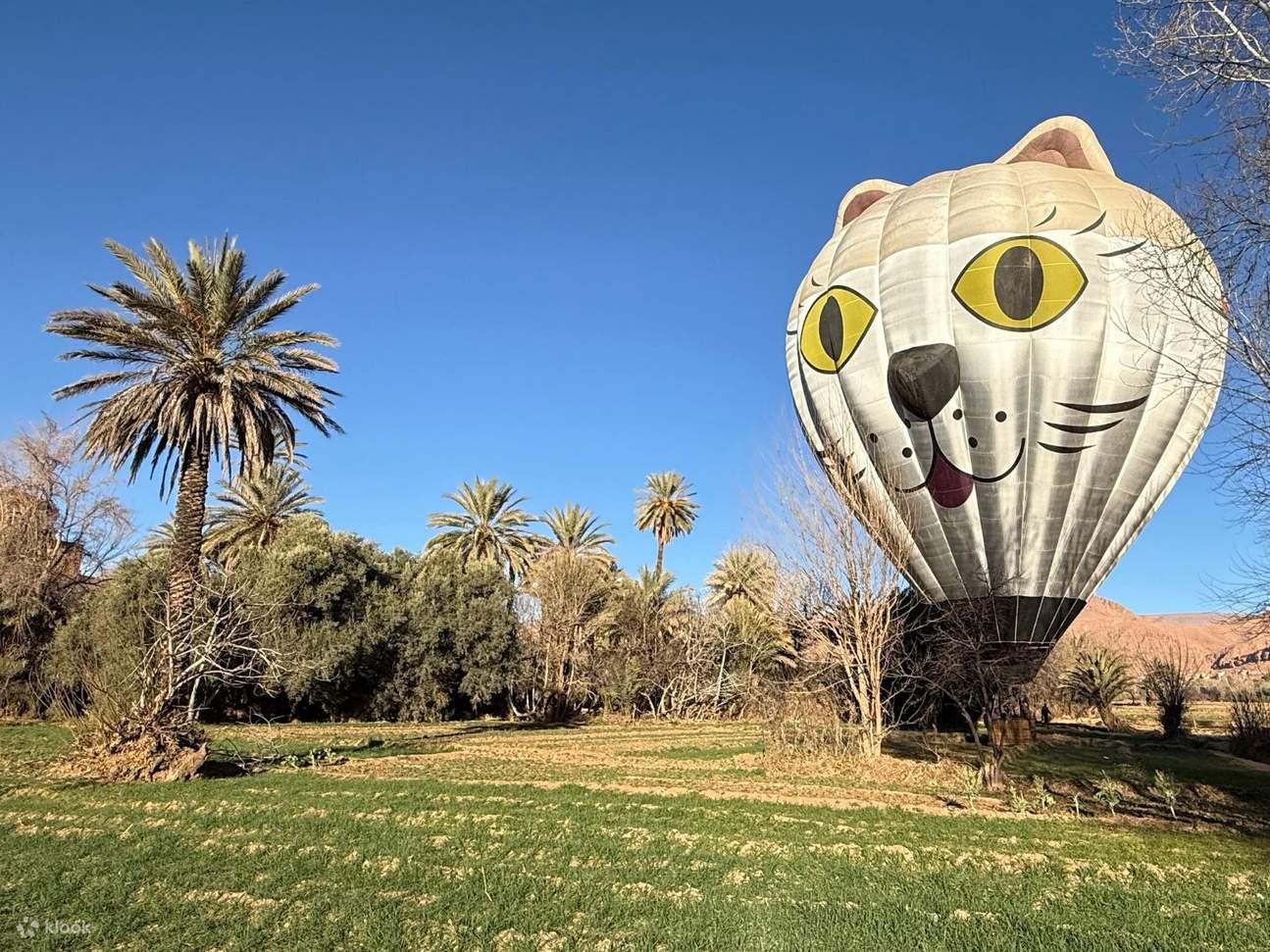 Hot air Balloon ride - Klook United States