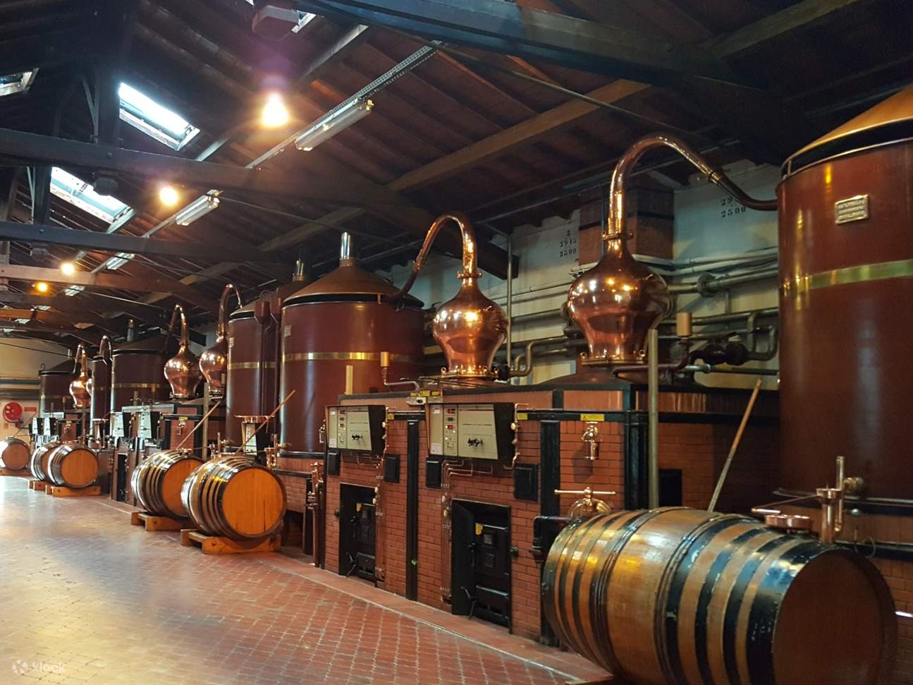 Cognac Distillery and Bordeaux Winery Private Tour from Cognac, France ...
