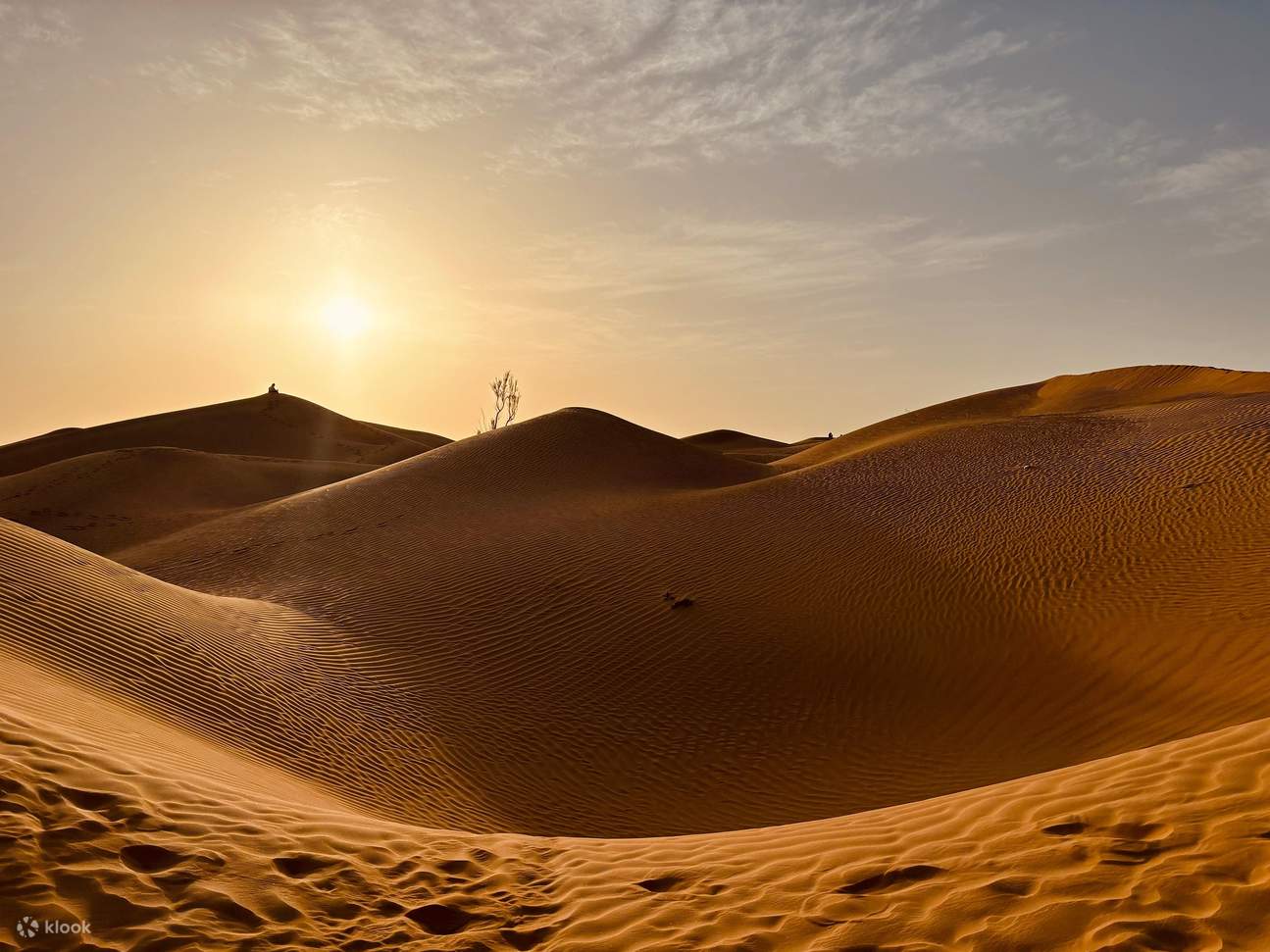 Oman Desert & Oasis Adventure from Muscat - Klook The Bahamas