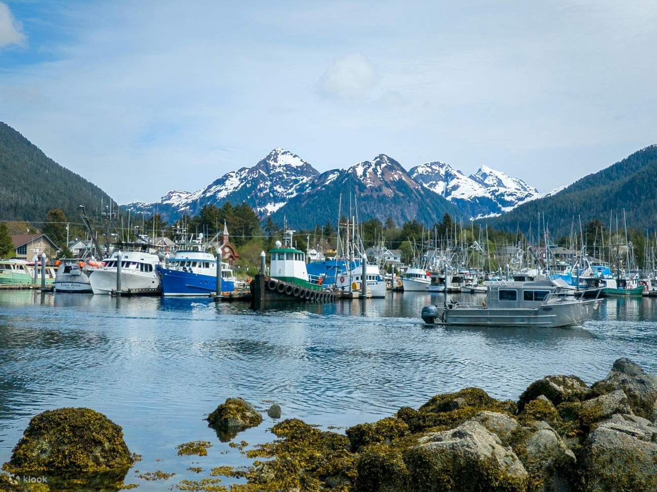Scenic Sitka Sound Wildlife Cruise, - Klook Philippines