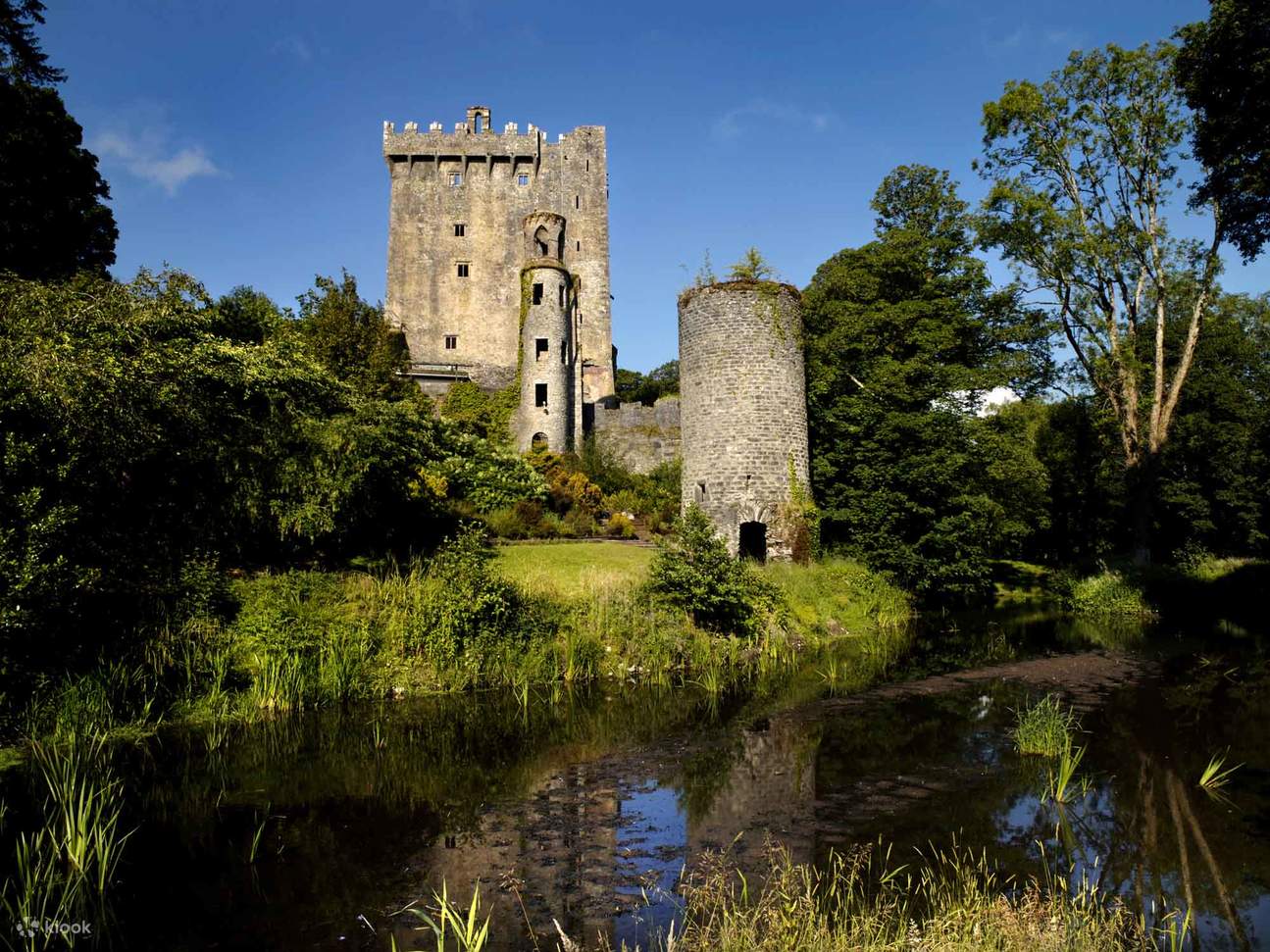 Blarney Castle and Cork Day Tour from Dublin - Klook India