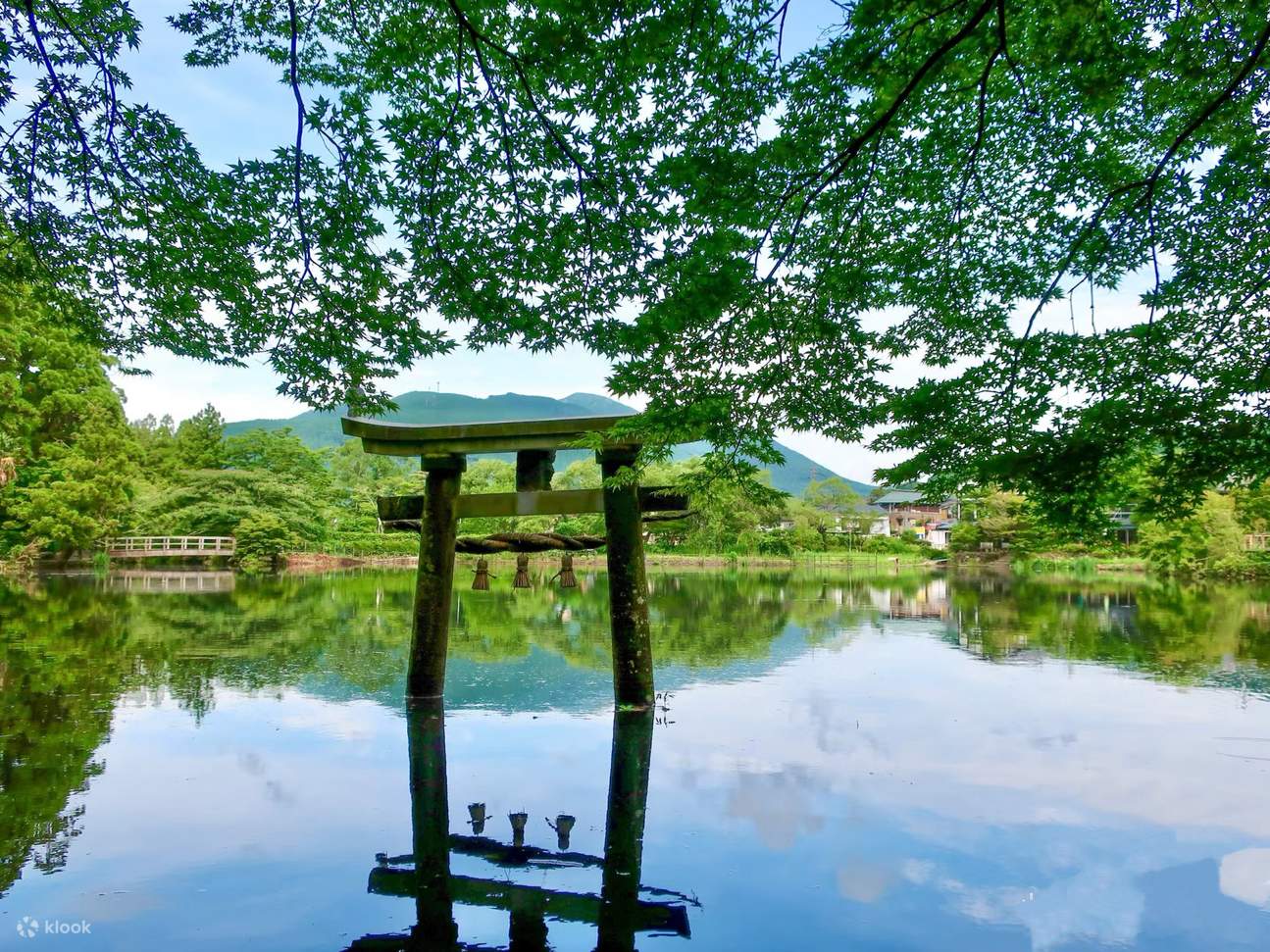 Kyushu｜One-day tour to Nanzoin, Dazaifu, Yufuin, and Umijigoku (from ...