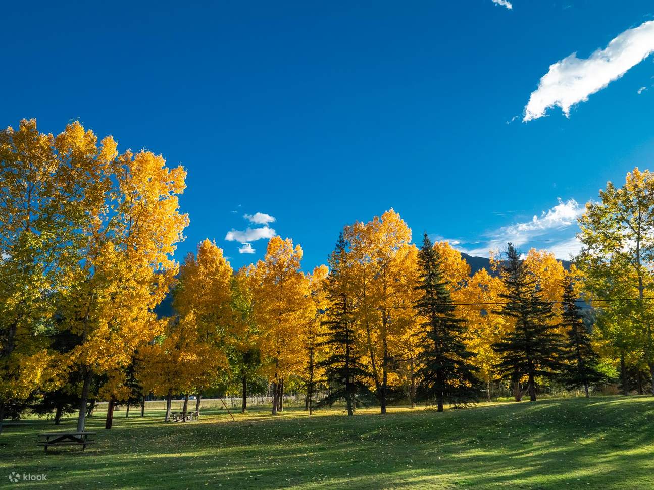 Discover the Beauty of Banff Area: Lake Louise, Moraine Lake, Johnston ...