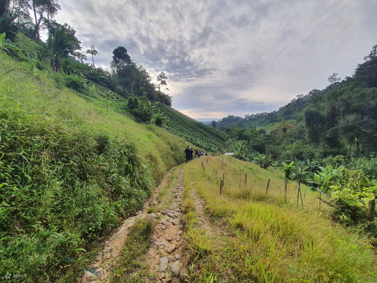 Waterfall Trekking Experience with Overnight Stay at Genting View ...