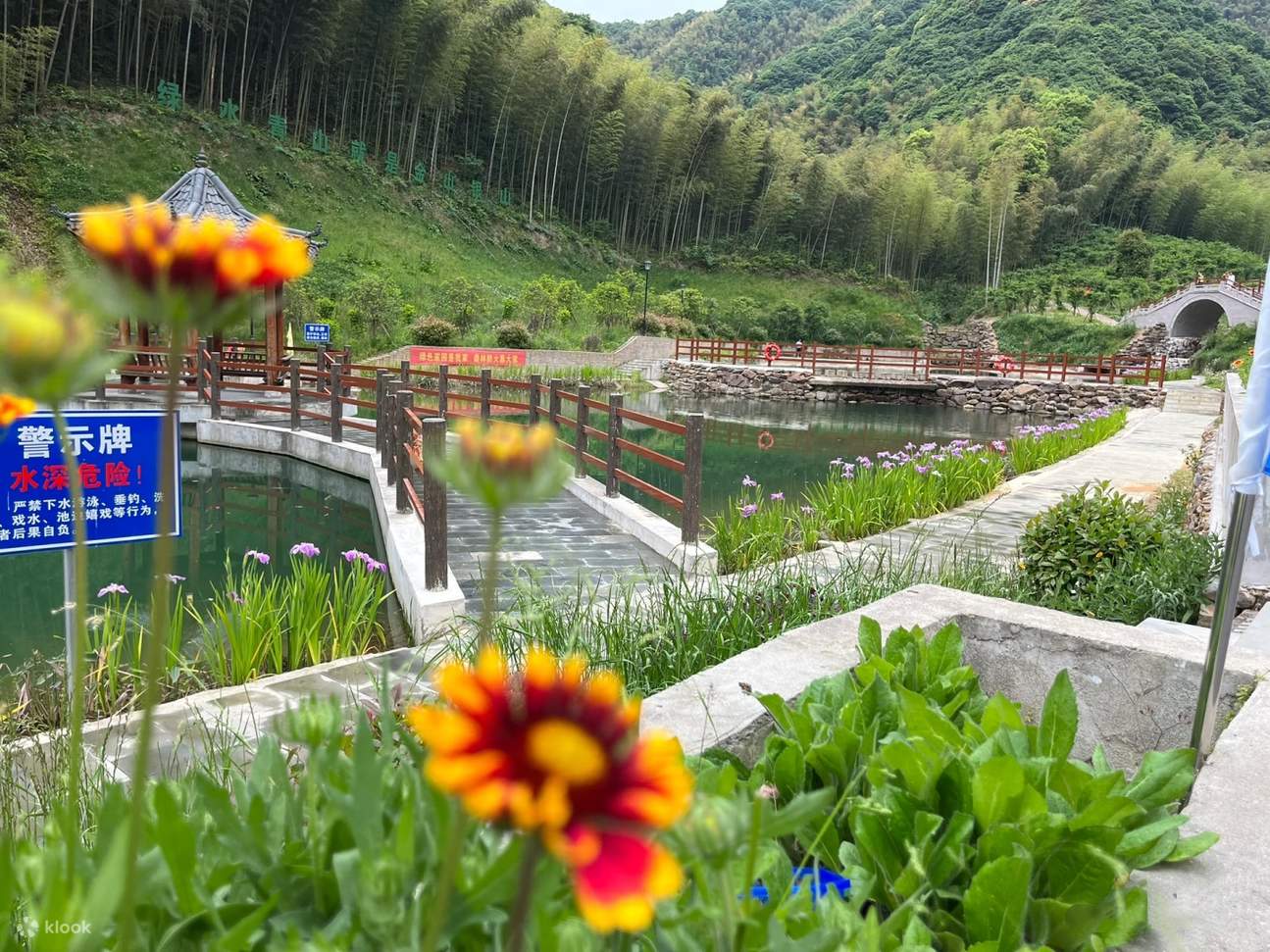 Perjalanan Teh dan Wisata Musim Semi Longwu Hangzhou: Pengalaman ...