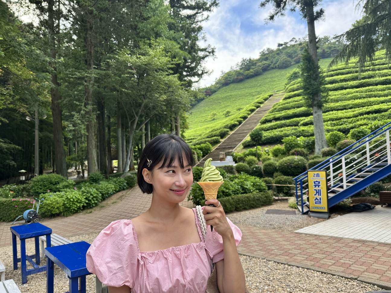 Boseong and Gangjin Green Tea Plantation One Day Tour from Gwangju - Klook Philippines