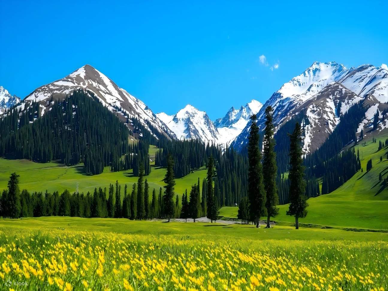 5-Day Luxury Xinjiang North Xinjiang Yining Tour (Self-Drive Exploration of Narat + Lake Sailimu ...