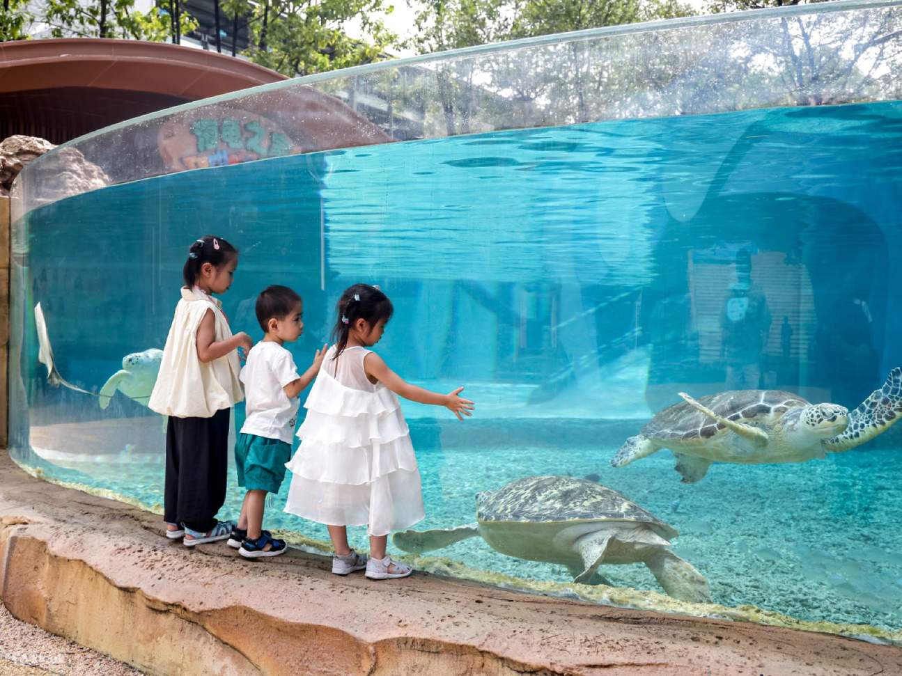 Guangzhou Oceanarium - Klook