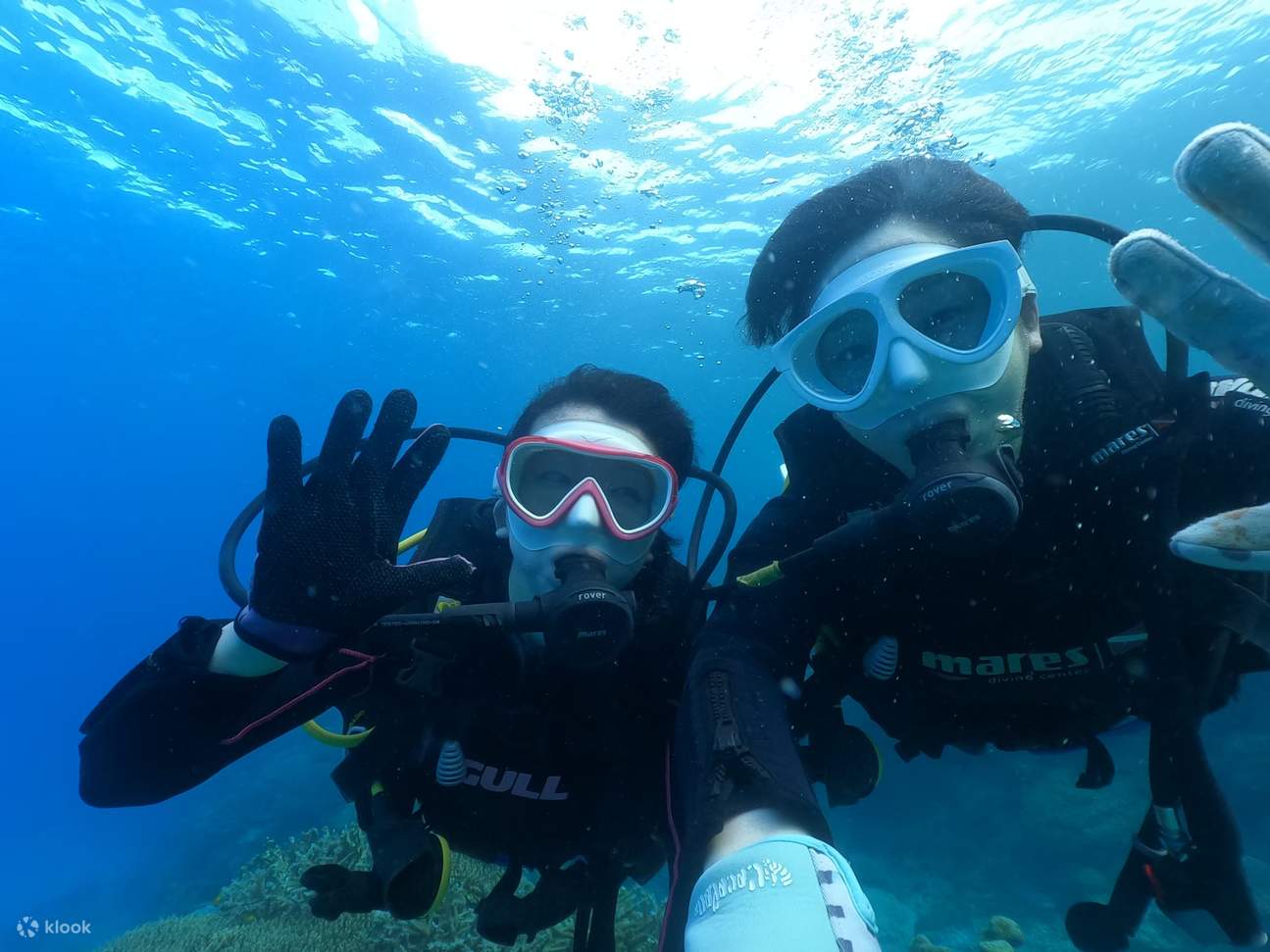 Okinawa: Discover SCUBA Diving at Minna, Sesoko or Motobu - Klook ...