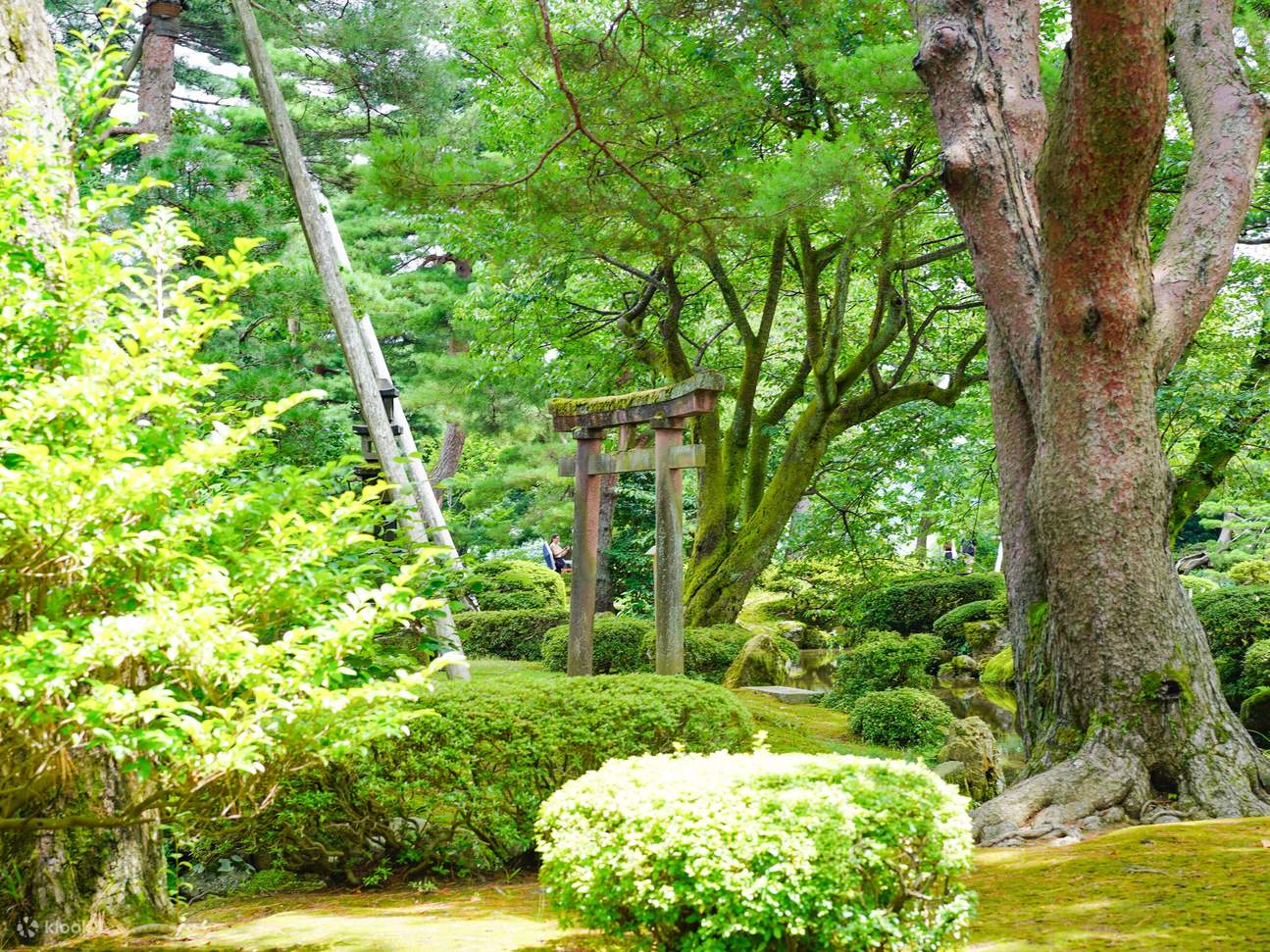 Kanazawa Half-day Historical Walking Tour - Klook