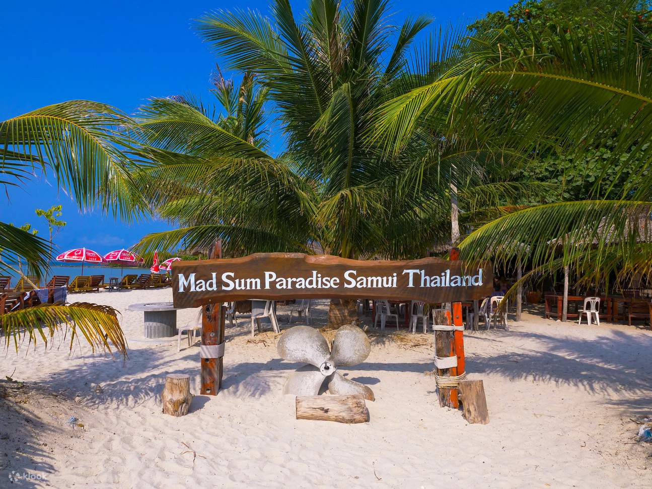 Koh Samui: Tur Longtail Pribadi ke Pulau Babi dengan Snorkel - Klook ...