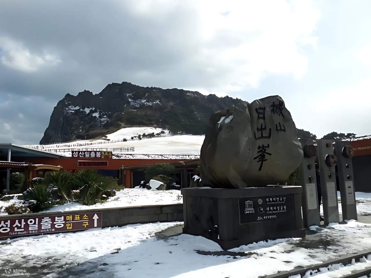 Jeju Camellia & Tangerine & Snow Winter Seasonal Tour - Klook United States