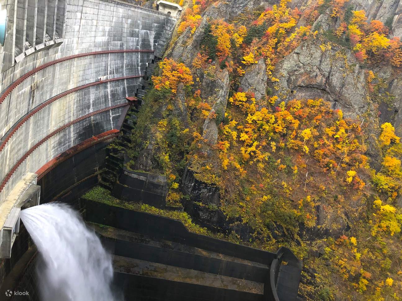 Hokkaido | One-day tour to Autumn Cherry Blossoms & Hakkensan BBQ ...