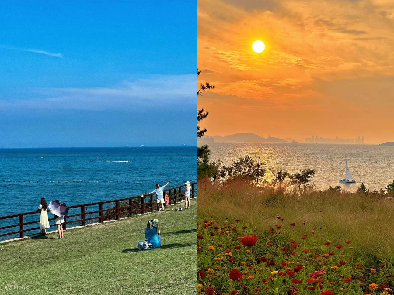 1-day tour of Laoshan from Qingdao, Shandong (catch the sea + Qingshan ...