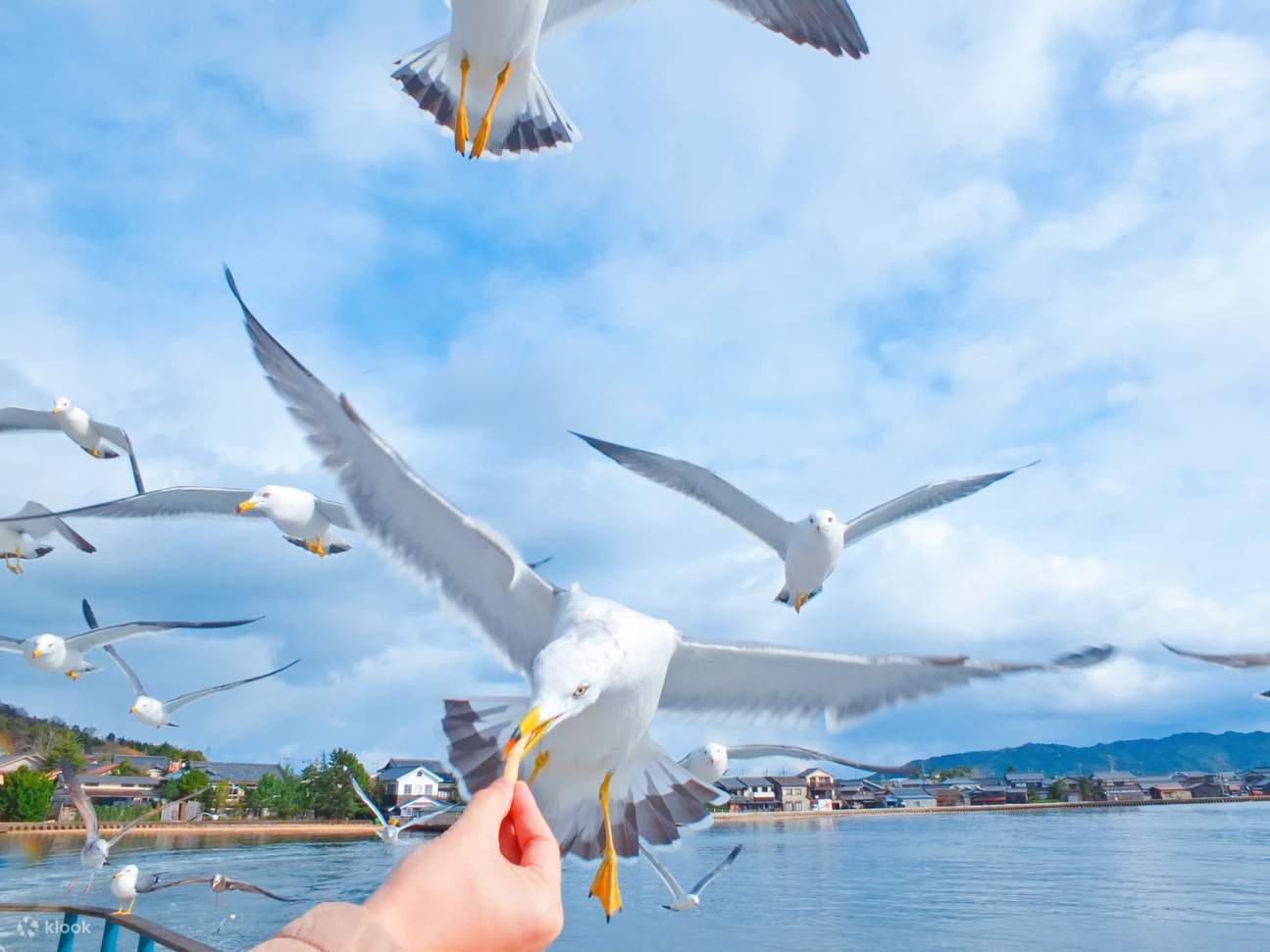 Japan's Three Most Scenic Spots: Amanohashidate, Ine Funaya, and Ine ...