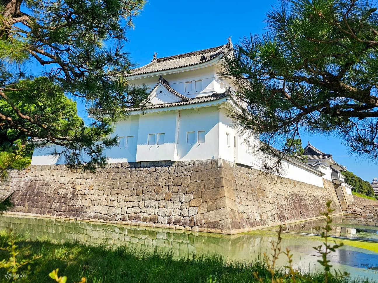 Kyoto Nijo Castle & Imperial Palace Small Group Tour Walking Tour ...