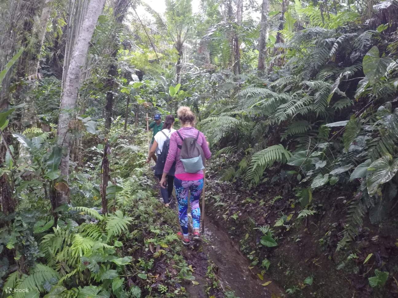 Ubud Walking Tour, Indonesia - Klook