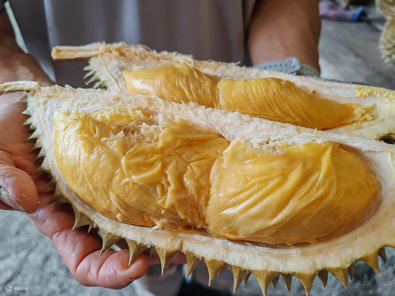 Jelajah Dusun Mencicipi Durian di Pulau Pinang - Klook Amerika Syarikat