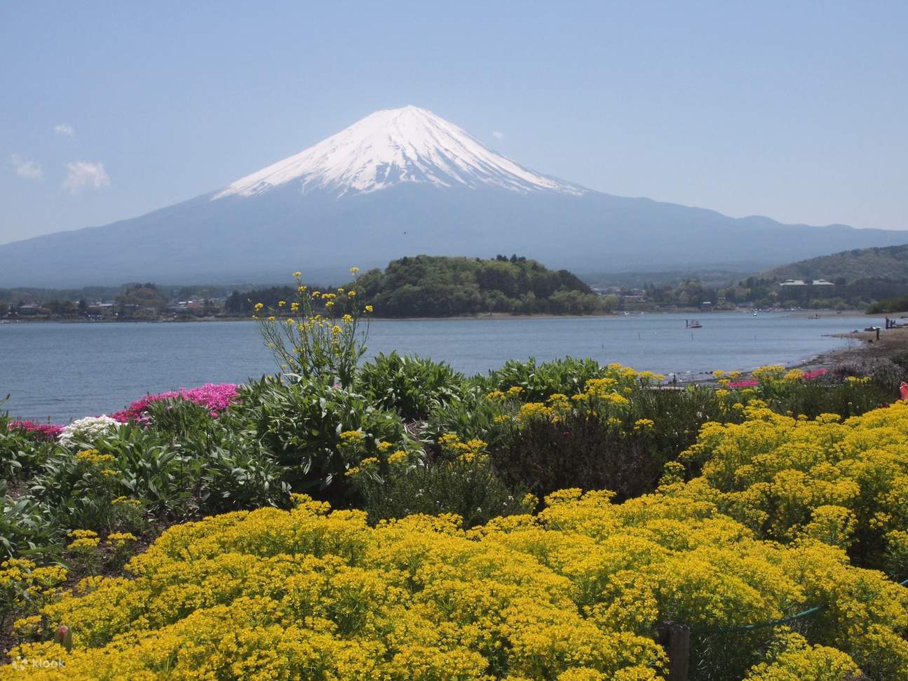 Tour di un giorno dei punti panoramici del Monte Fuji e del Lago ...