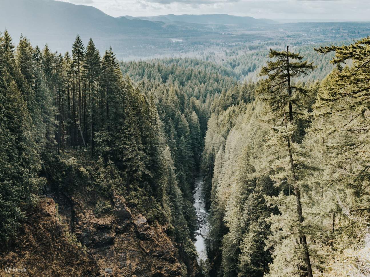 Wallace Falls Rainforest and Waterfall Hiking Tour From Seattle - Klook ...