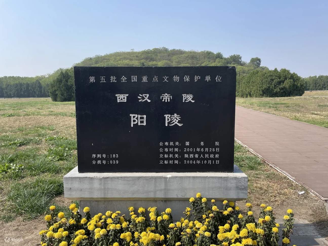 Xi'an Famen Temple + Qian Mausoleum + Mao Mausoleum + Tomb of Crown ...