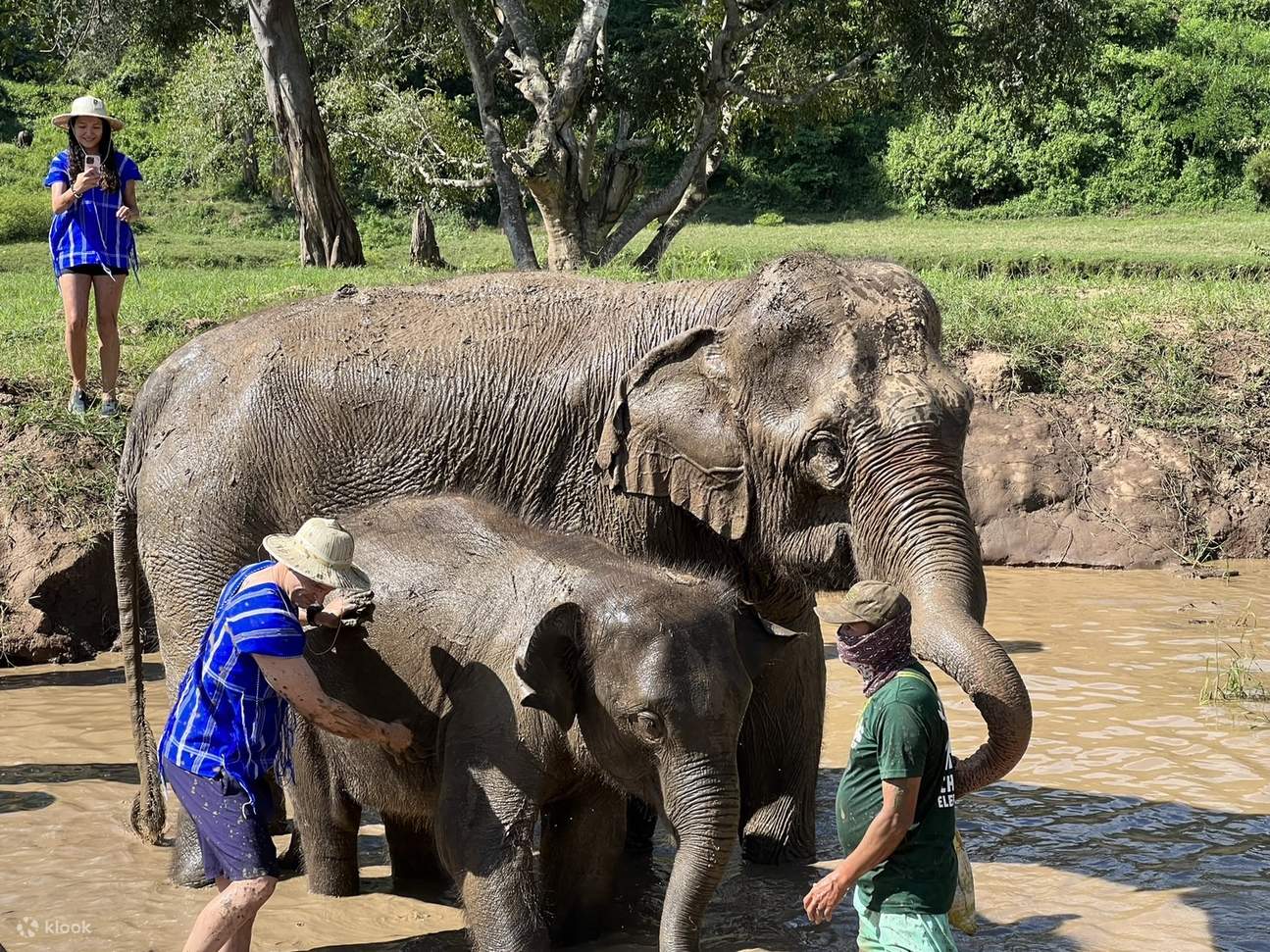 Join In Elephant Care Program At New Elephant Home Chiangmai in Chiangmai - Klook Estados Unidos
