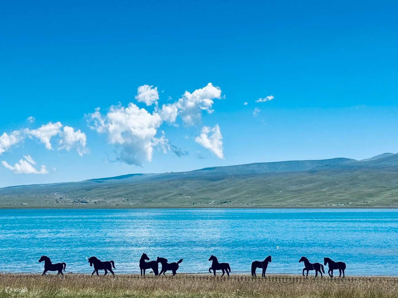 Xining Qinghai Lake + Chaka Salt Lake + Riyue Mountain One-Day Tour ...