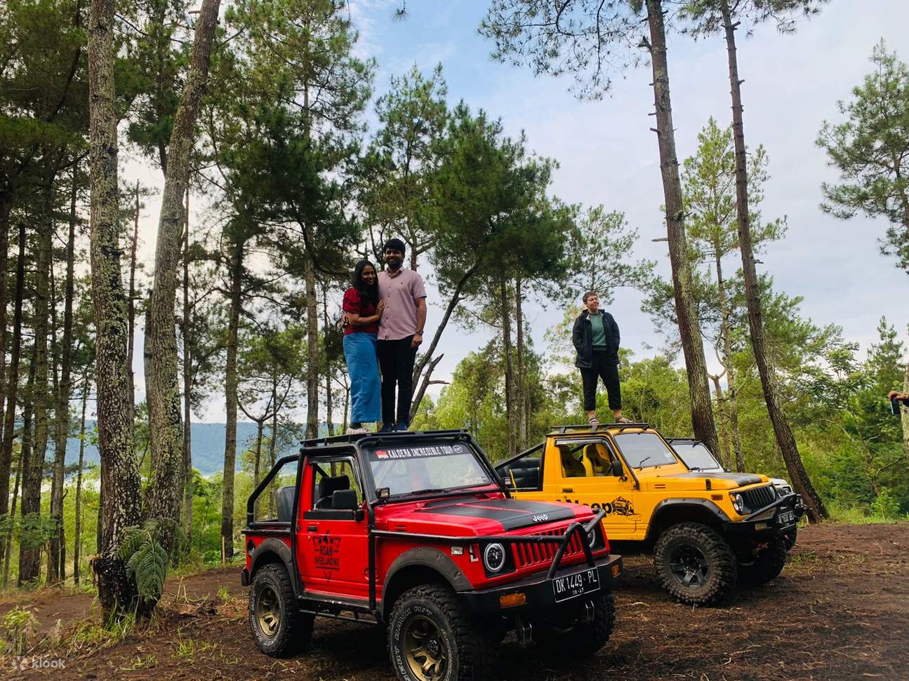 Hutan Pinus (Pine Forest) Kintamani Off Road Jeep Trail Day Tour ...
