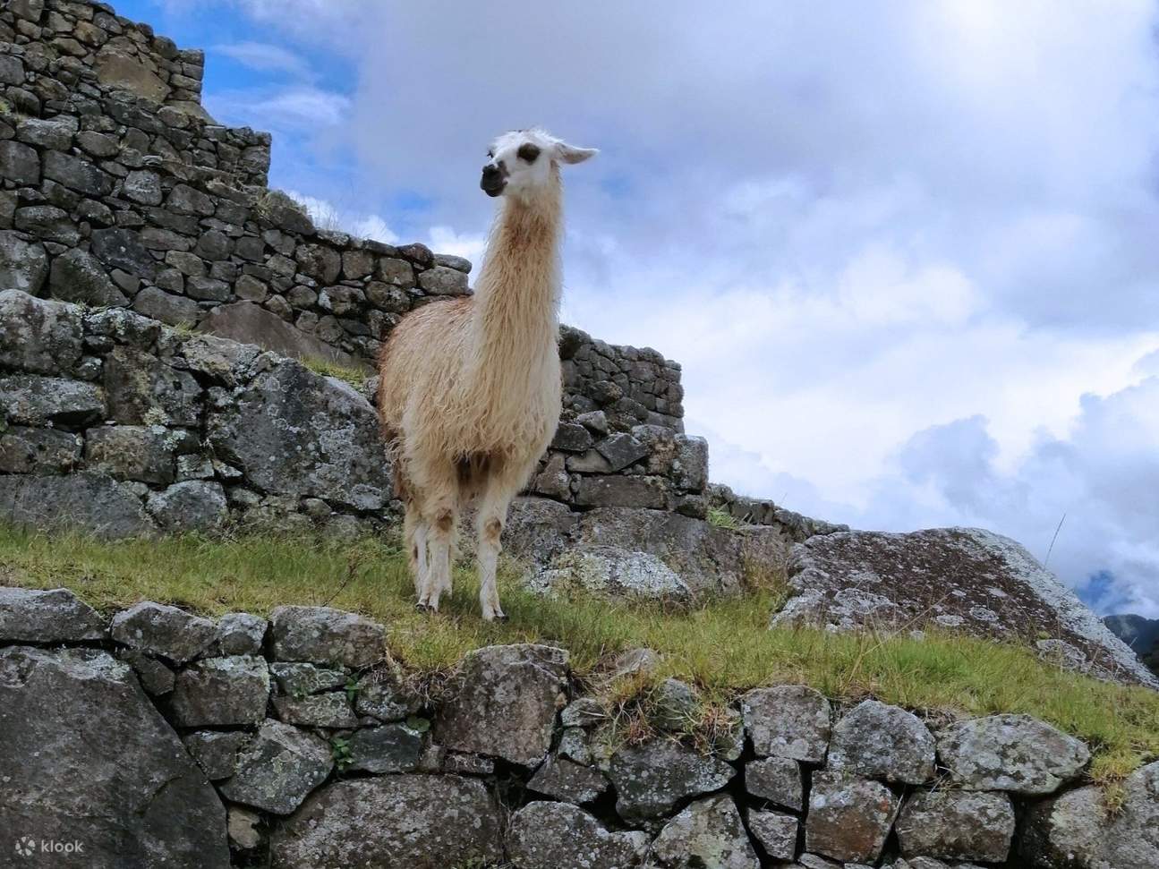 Sacred Valley and Machu Picchu Full Day Discovery Tour with Train ...