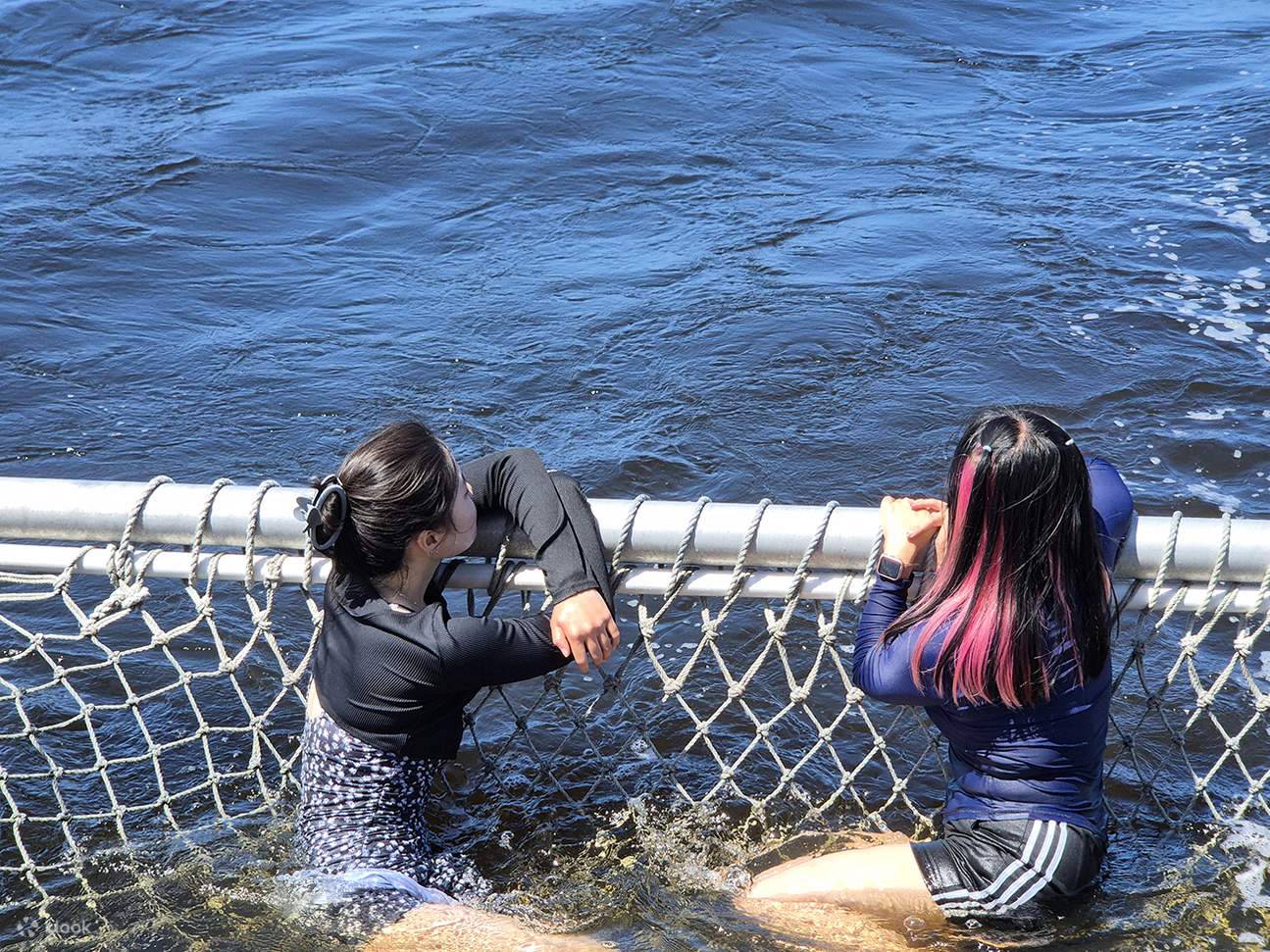 Tour Tham Quan Port Stephens Một Ngày (Tiếng Hàn): Vườn Thú, Nhà Máy Rượu Vang, Cồn Cát & Cá Heo ...