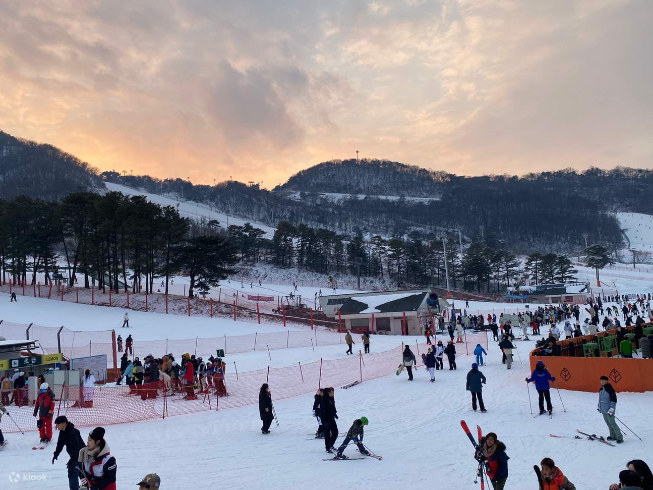 Korea Ski Tour from Seoul - Klook
