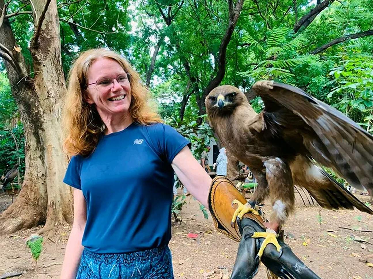 Malindi: Experience The Majestic Falconry Of Kenya. - Klook