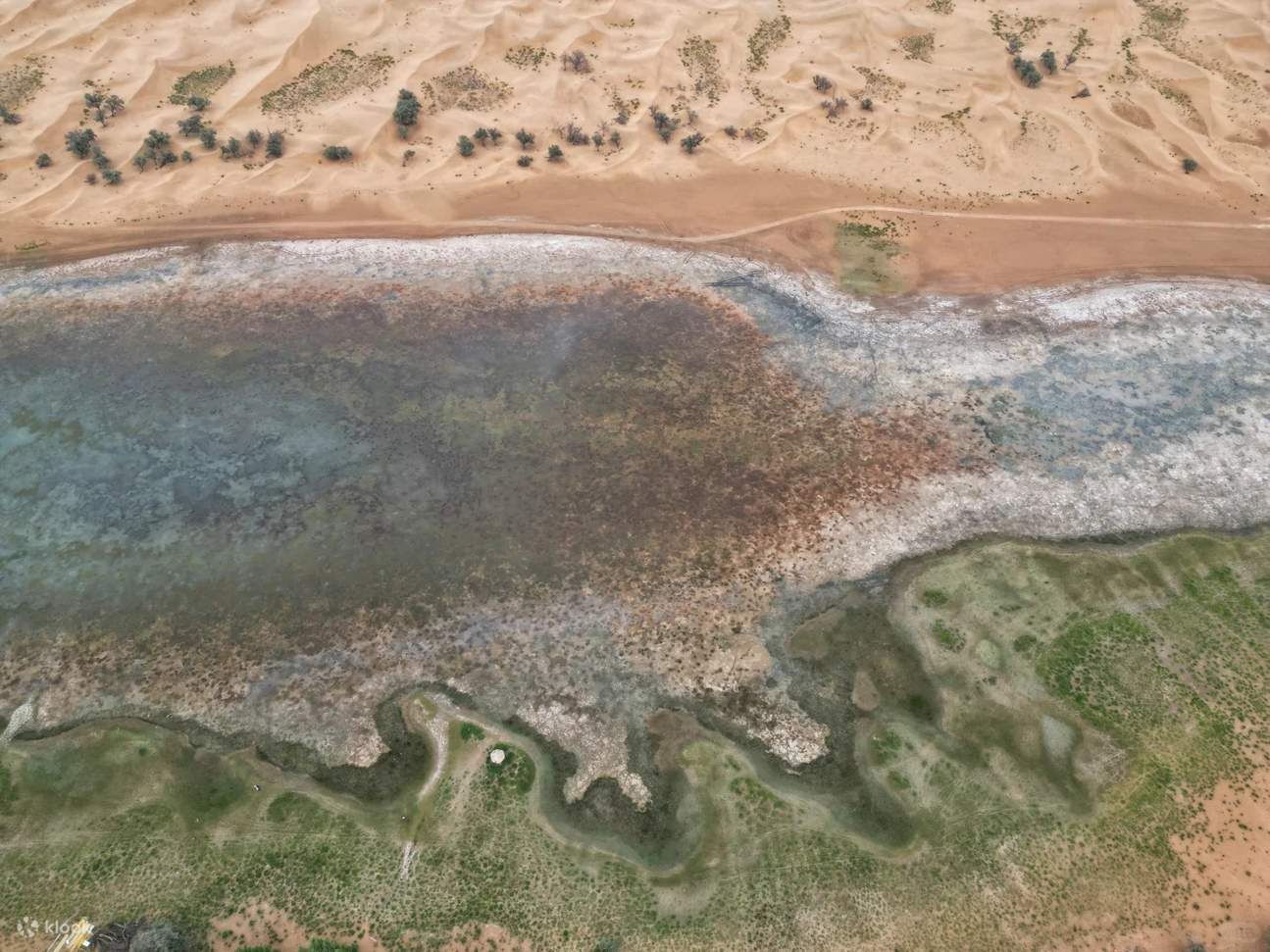 One-Day Tour of Tengger Desert, Yinchuan, Ningxia (Wulan Lake + Swan ...