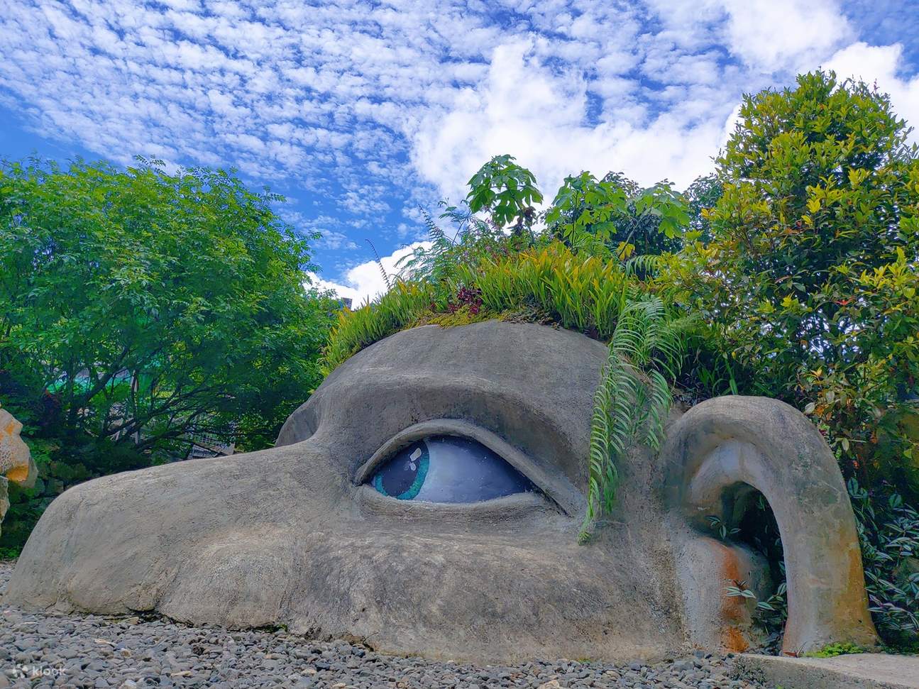 Creative Detox Walking Tour in Tuba with Maryknoll Ecological Sanctuary ...