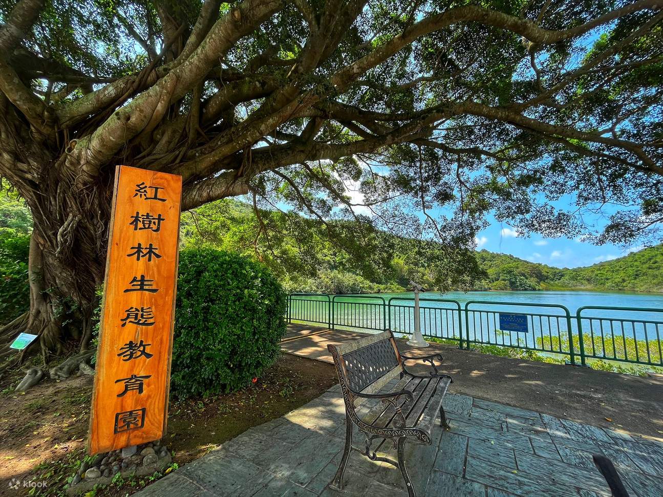 Hong Kong Sai Kung Pak Tam Chung Mangrove Ecology Tracking - Klook The ...