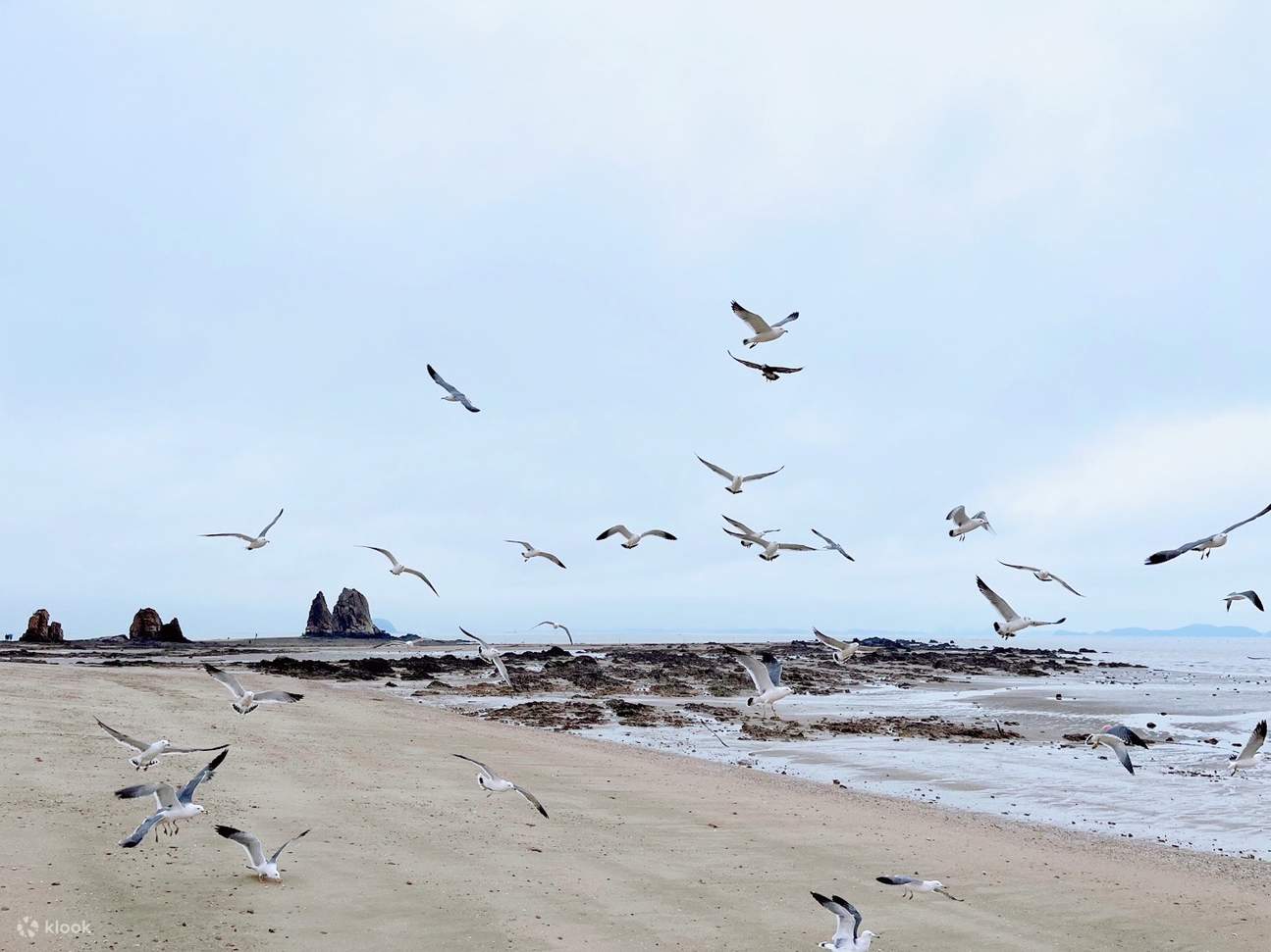 Gyeonggi-do Jebudo Sea Cable Car Island Wave & Island Sightseeing ...