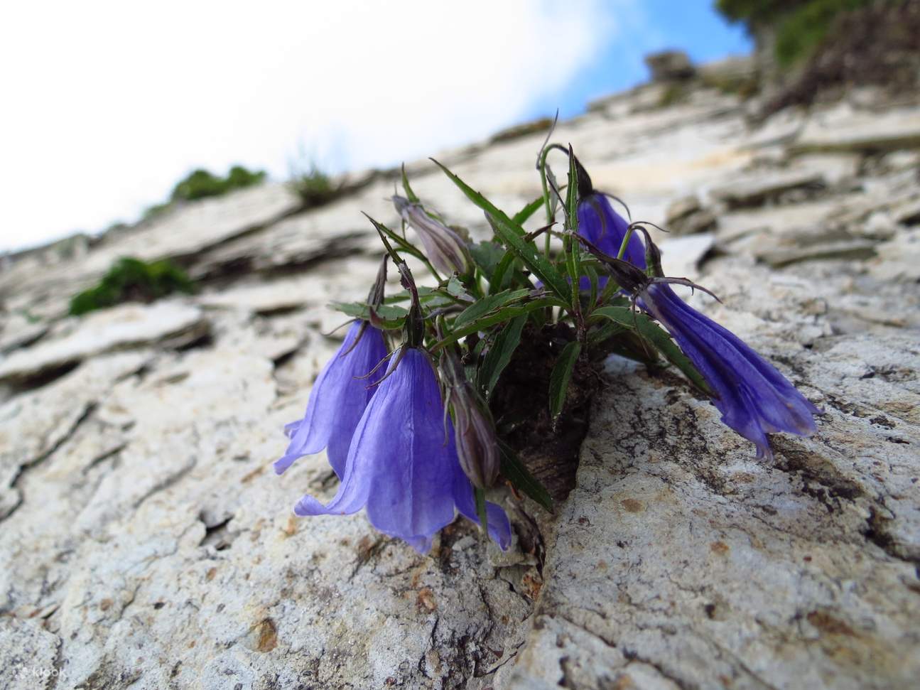 Three-day and three-night mountaineering experience in Yilan Mountain ...