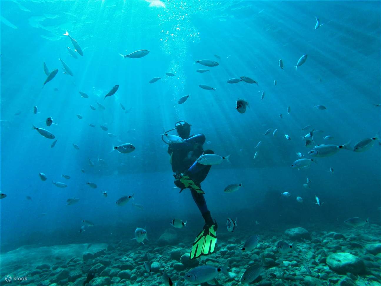 Experience the Thrill of Diving into the Depths with Scuba Diving - Klook
