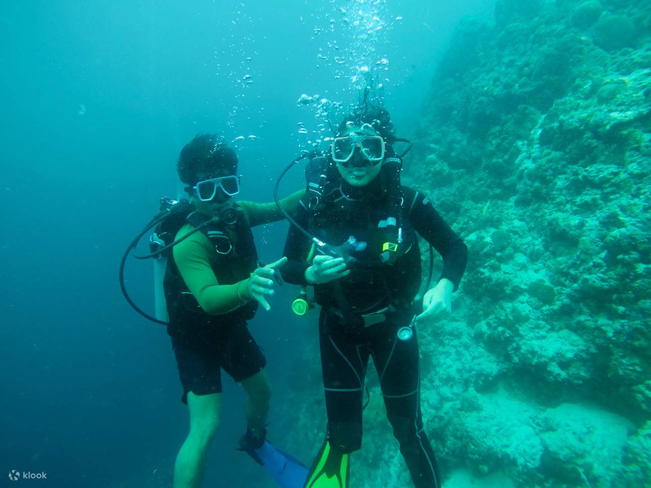 pag-diving kasama ang mga butanding sa Oslob - Klook Estados Unidos