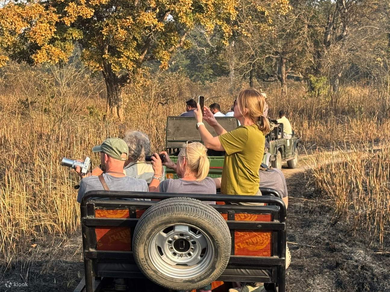 Chitwan National Park Tour: 2 Nights 3 Days Jungle Safari Package for ...