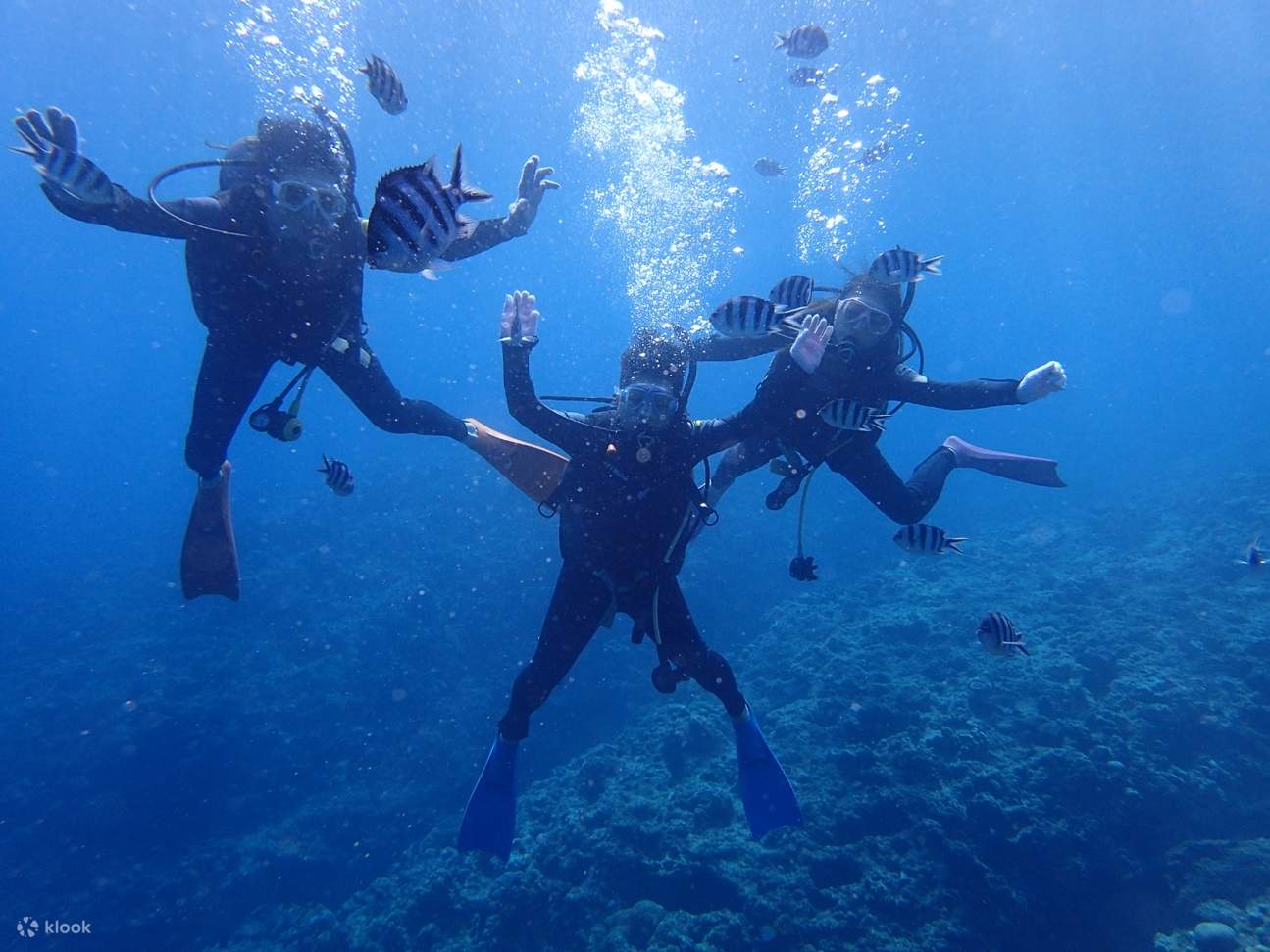 3 Day PADI Open Water Diver Course in Okinawa - Klook United States