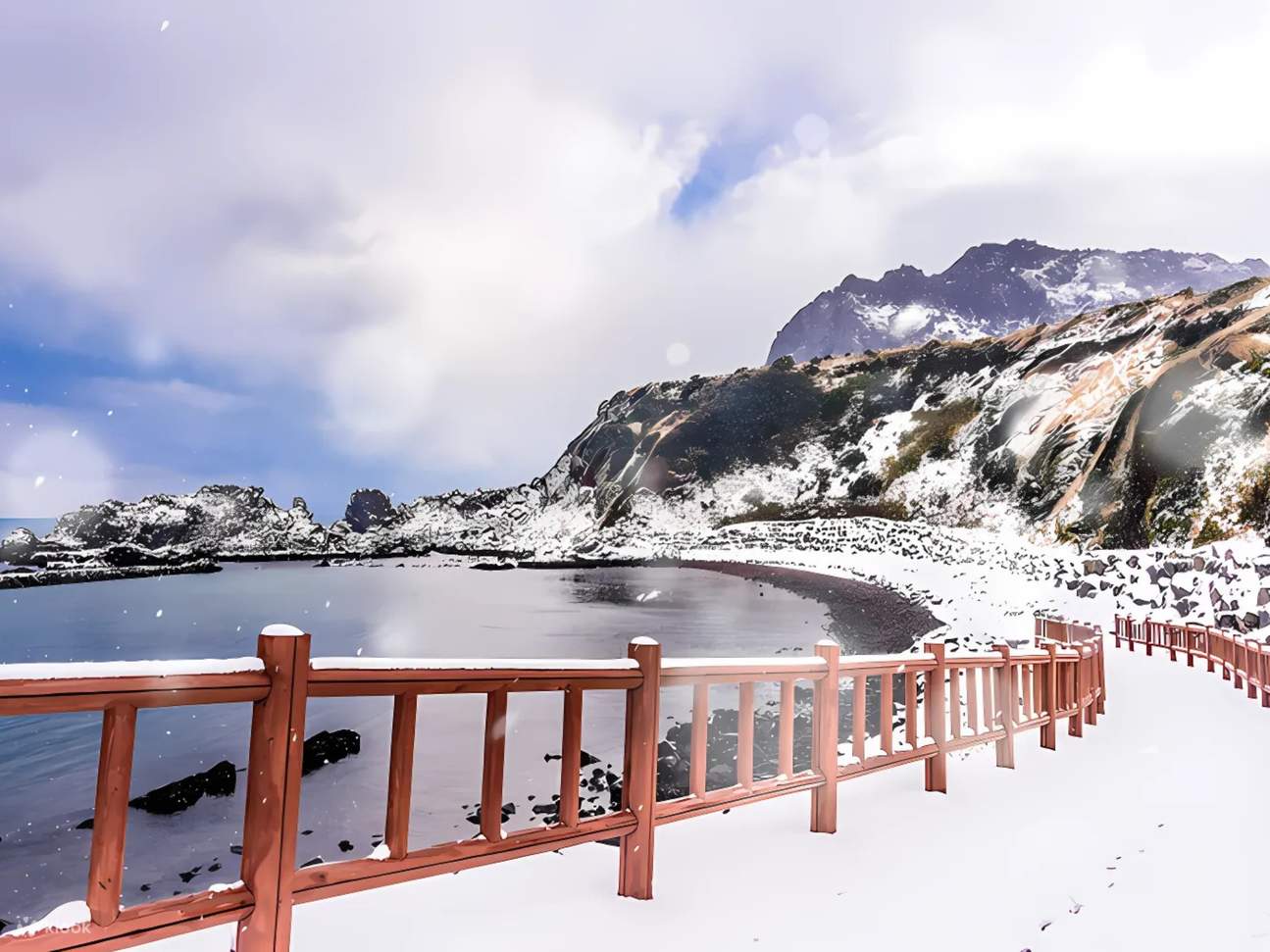 Jeju Camellia & Tangerine & Snow Winter Seasonal Tour - Klook Singapore